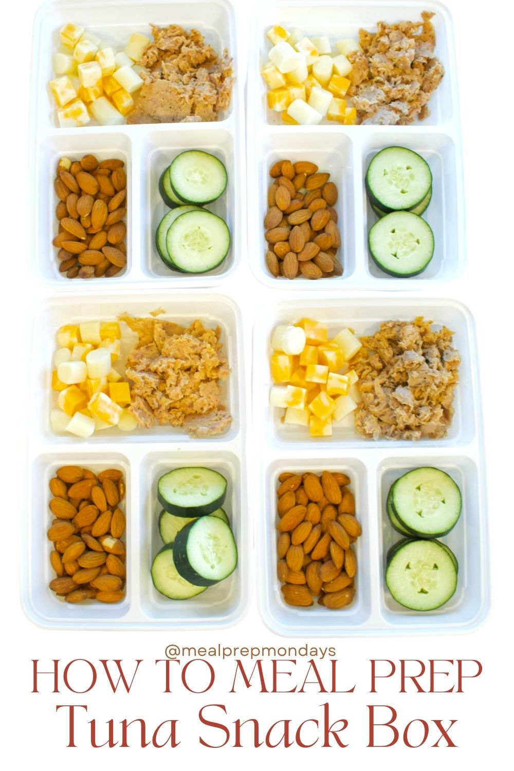 Tuna Snack Box Recipe